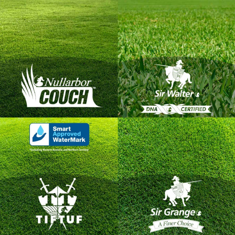 Turf Varieties – Jimboomba Turf Group