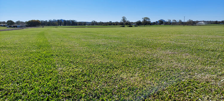 About Us – Jimboomba Turf Group