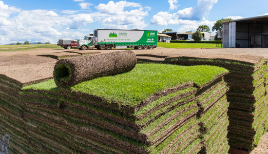 Jimboomba Turf Group | Turf Suppliers Near Me