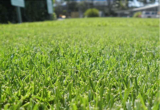 Turf Installation Brisbane – Jimboomba Turf Group