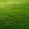 Turf - Nullarbor Couch Grass | Jimboomba Turf Group