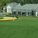 Turf - Nullarbor Couch Grass | Jimboomba Turf Group
